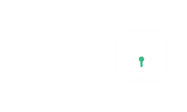 What is Layer 1 encryption?